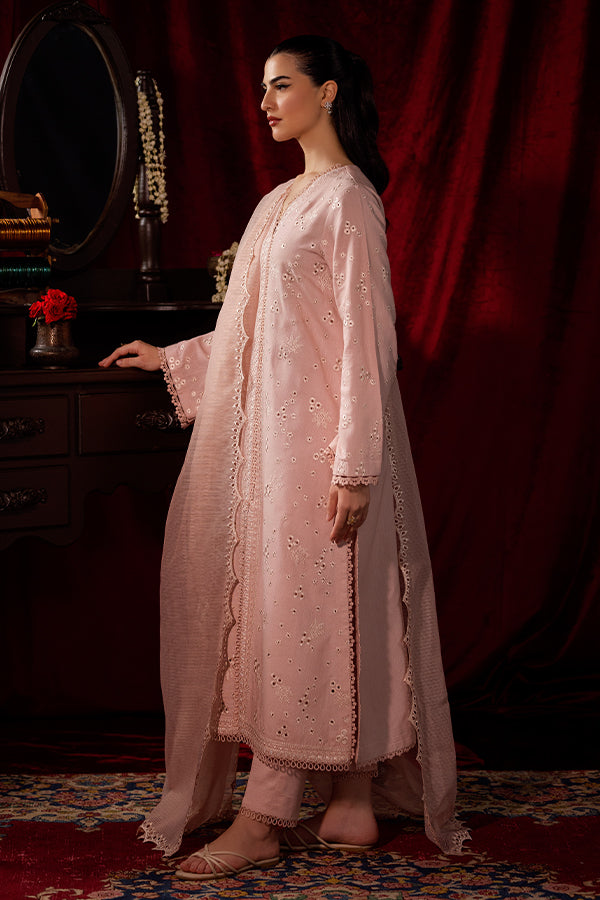 Celestial Fall ‘24